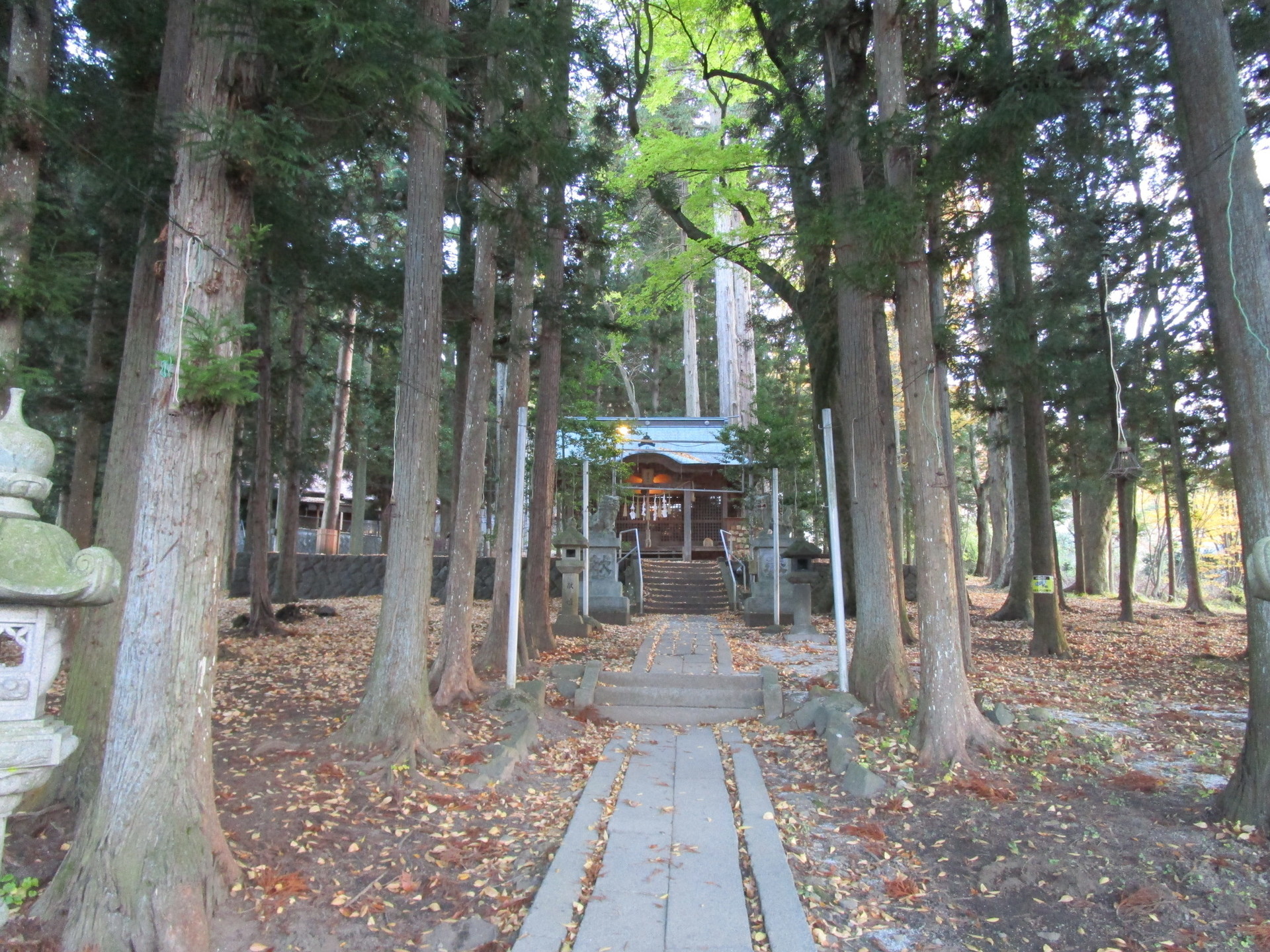 先住民モレアと侵入者イズモの戦い 洩矢大明神と藤島明神（2022諏訪縄文紀行6): ベレー帽通信 WEST